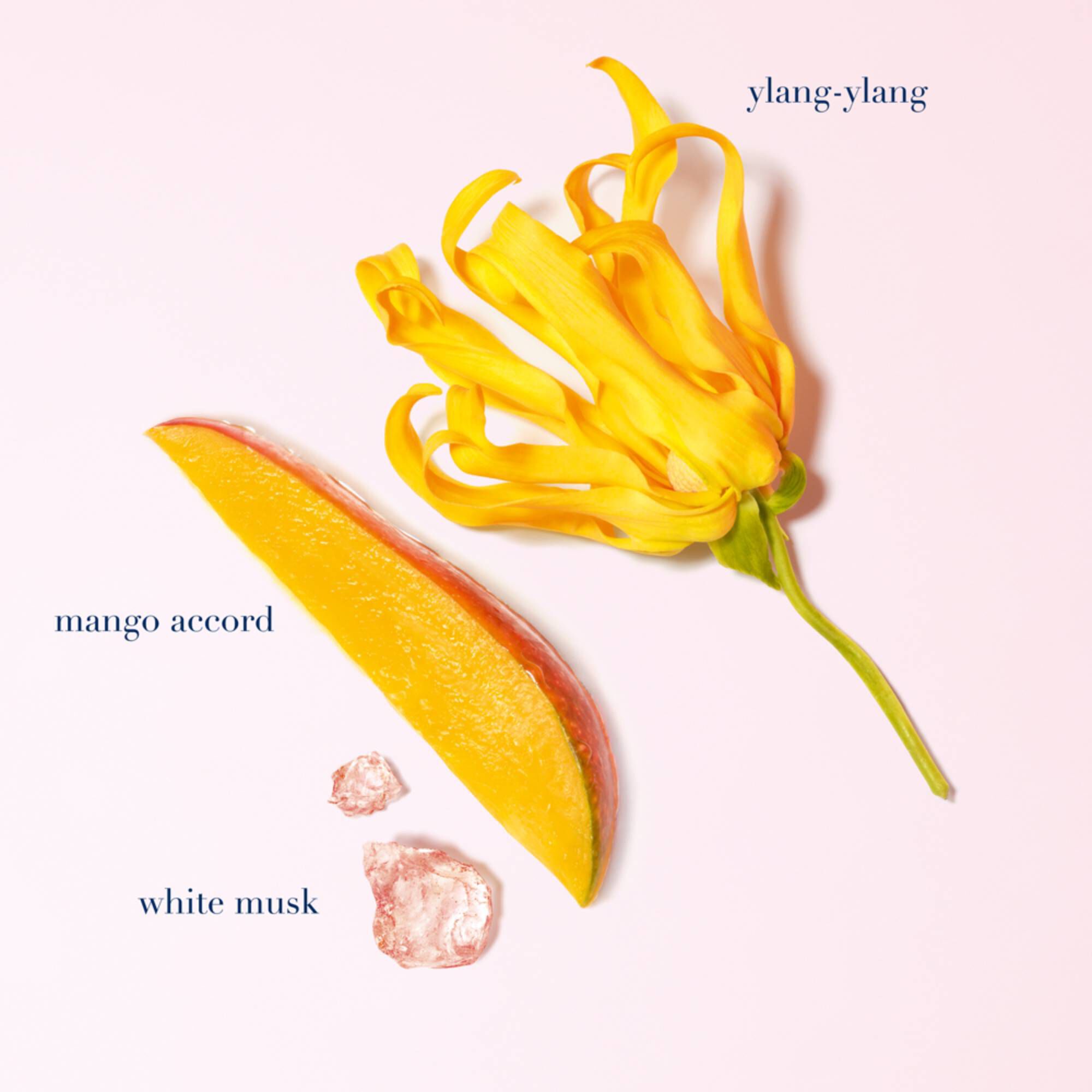 My Way Eau de Parfum Ylang - Fruity Floral fragrance - Armani beauty